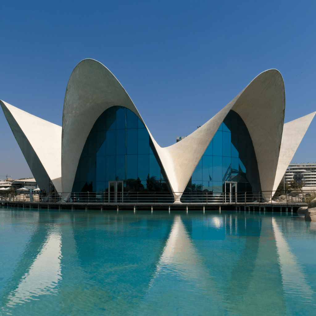 Oceanografic en Valencia - Aragón Xperience